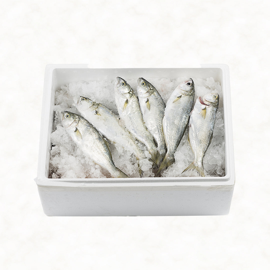 Block Fish – The Meat Corner