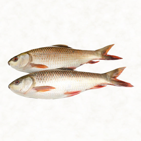 Whole Fish - Custom Cut – The Meat Corner