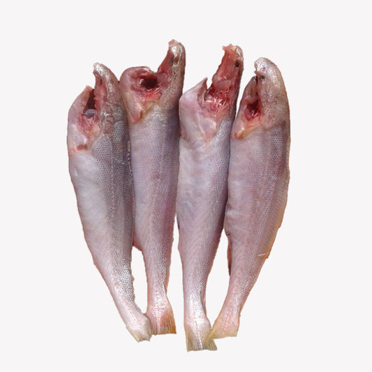 Block Fish – The Meat Corner