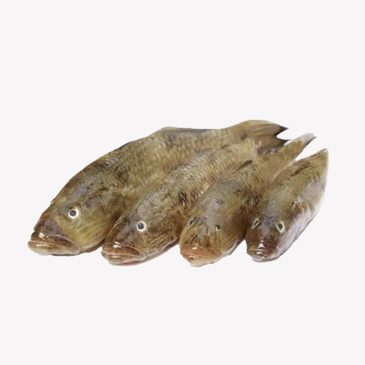 Block Fish – The Meat Corner